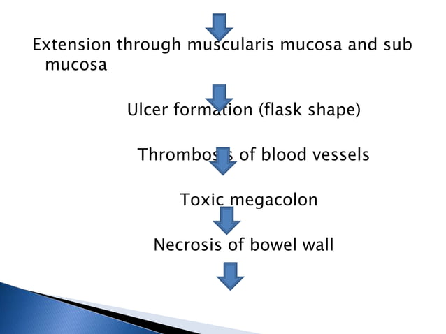 Amoebiasis pathogenesis and pathology | PPTX | Digestive Disorders ...