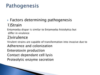 Amoebiasis Pathogenesis