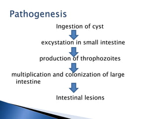 Amoebiasis Pathogenesis