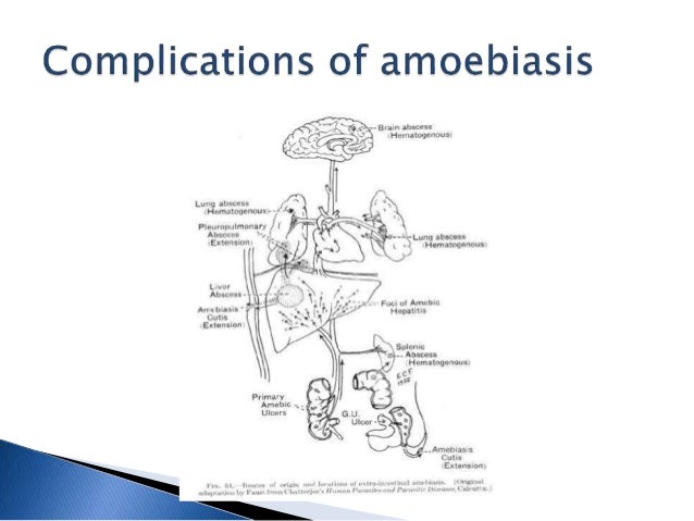 Amoebiasis pathogenesis and pathology
