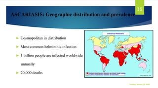Amoebiasis and ascariasis | PPT