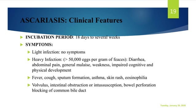 Amoebiasis and ascariasis | PPT