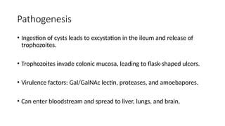 amoebiasis and giardiasis presemtation basics | PPTX