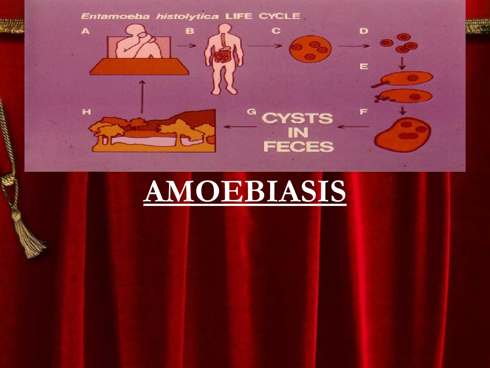 Amoebiasis by dr najeeb | PPT