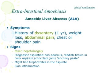 amoebiasis ppt.ppt