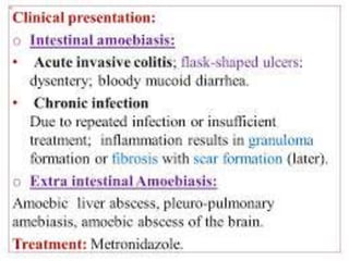 Amoebic colitis | PPT