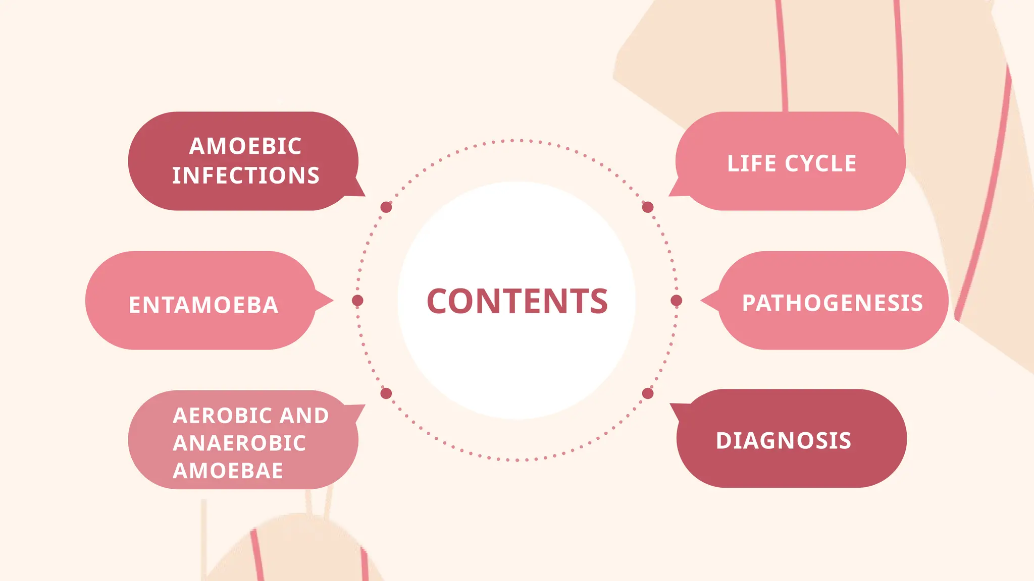 Amoebic infection- Amoebiasis- Entamoeba histolytica | PPT