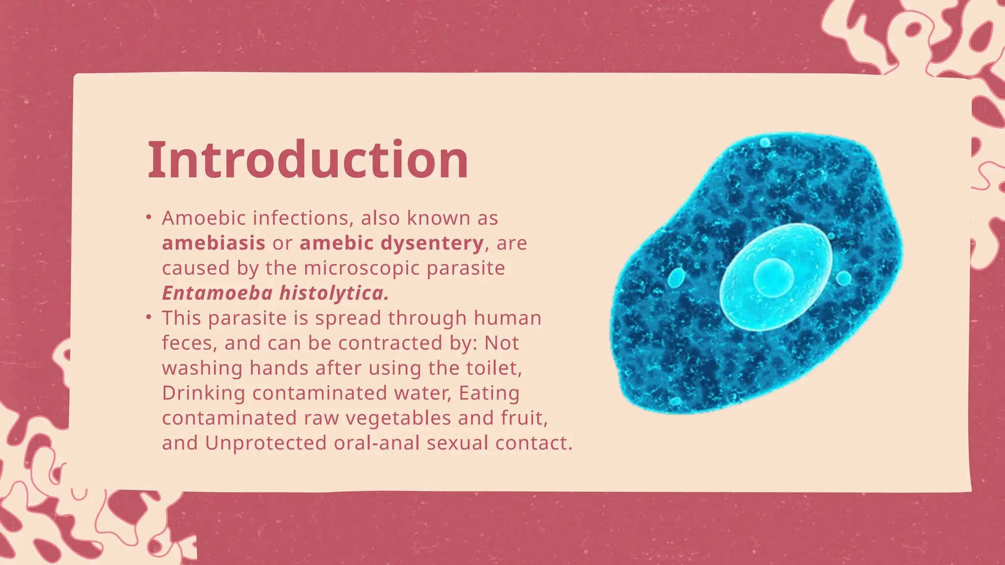 Amoebic infection- Amoebiasis- Entamoeba histolytica | PPT