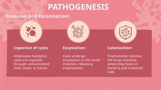 Amoebic infection- Amoebiasis- Entamoeba histolytica | PPTX