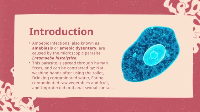 Amoebic infection- Amoebiasis- Entamoeba histolytica | PPT