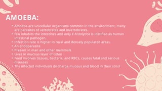 Amoebic infection- Amoebiasis- Entamoeba histolytica | PPTX