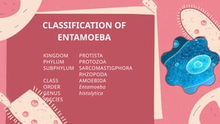 Amoebic infection- Amoebiasis- Entamoeba histolytica | PPTX