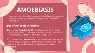 Amoebic infection- Amoebiasis- Entamoeba histolytica | PPTX