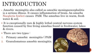 Amoebic meningitis : Brief about the disease | PPTX