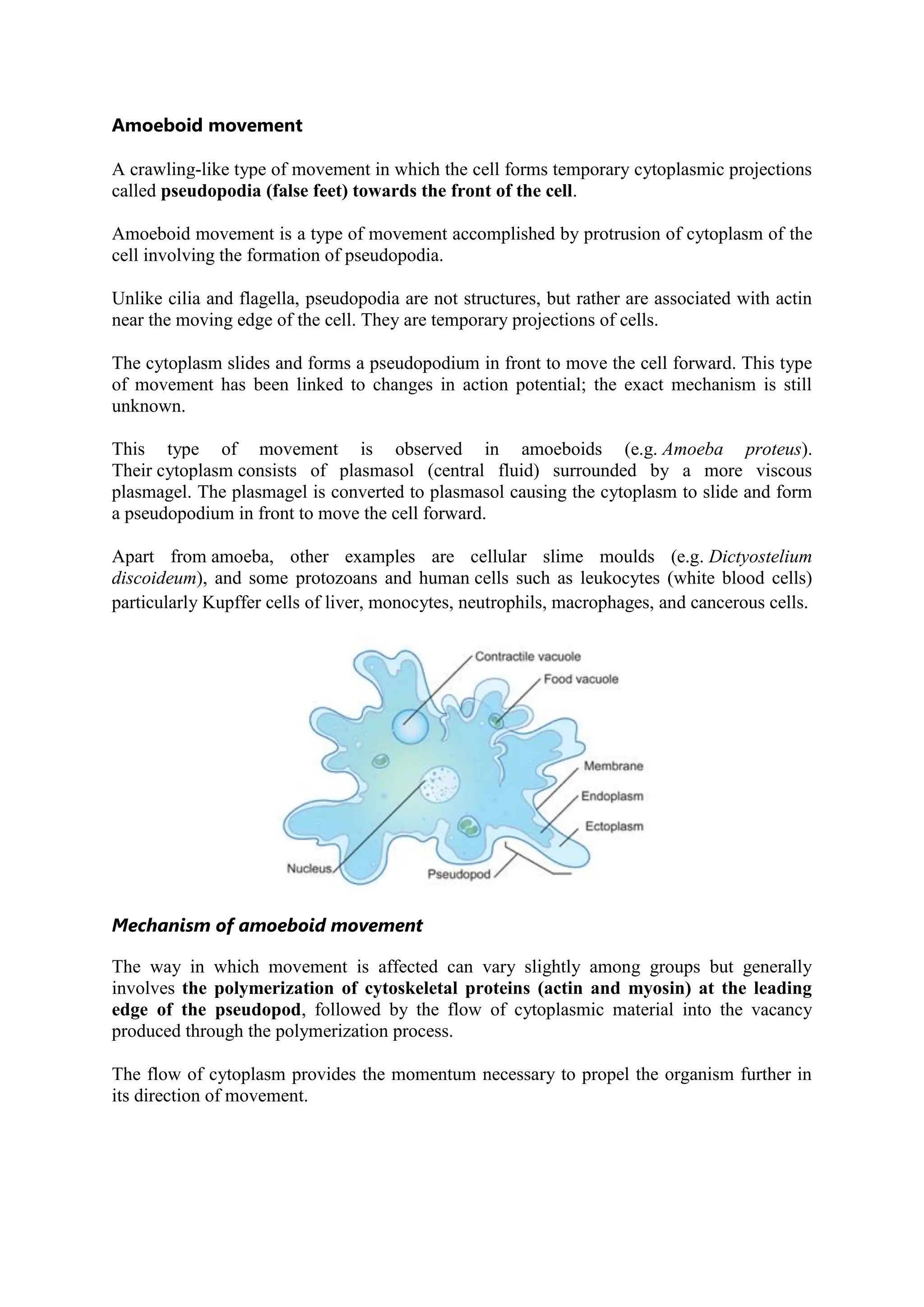 Amoeboid , Ciliary and Flagellar movement.pdf