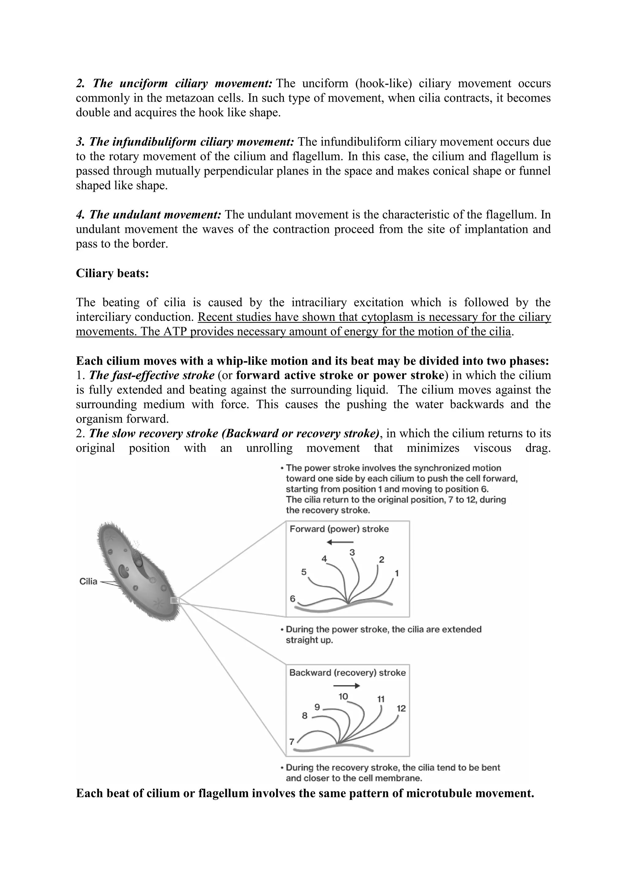 Amoeboid , Ciliary and Flagellar movement.pdf