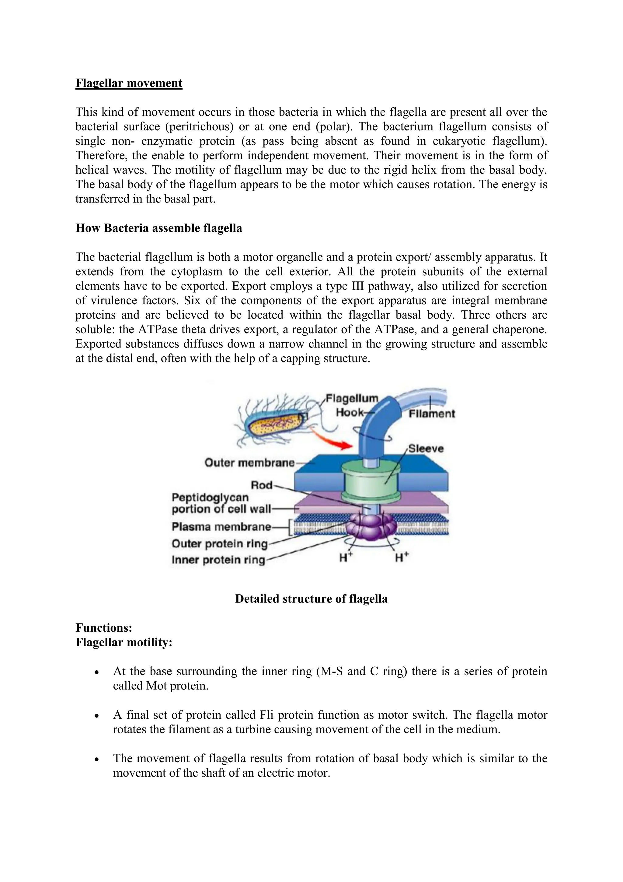 Amoeboid , Ciliary and Flagellar movement.pdf