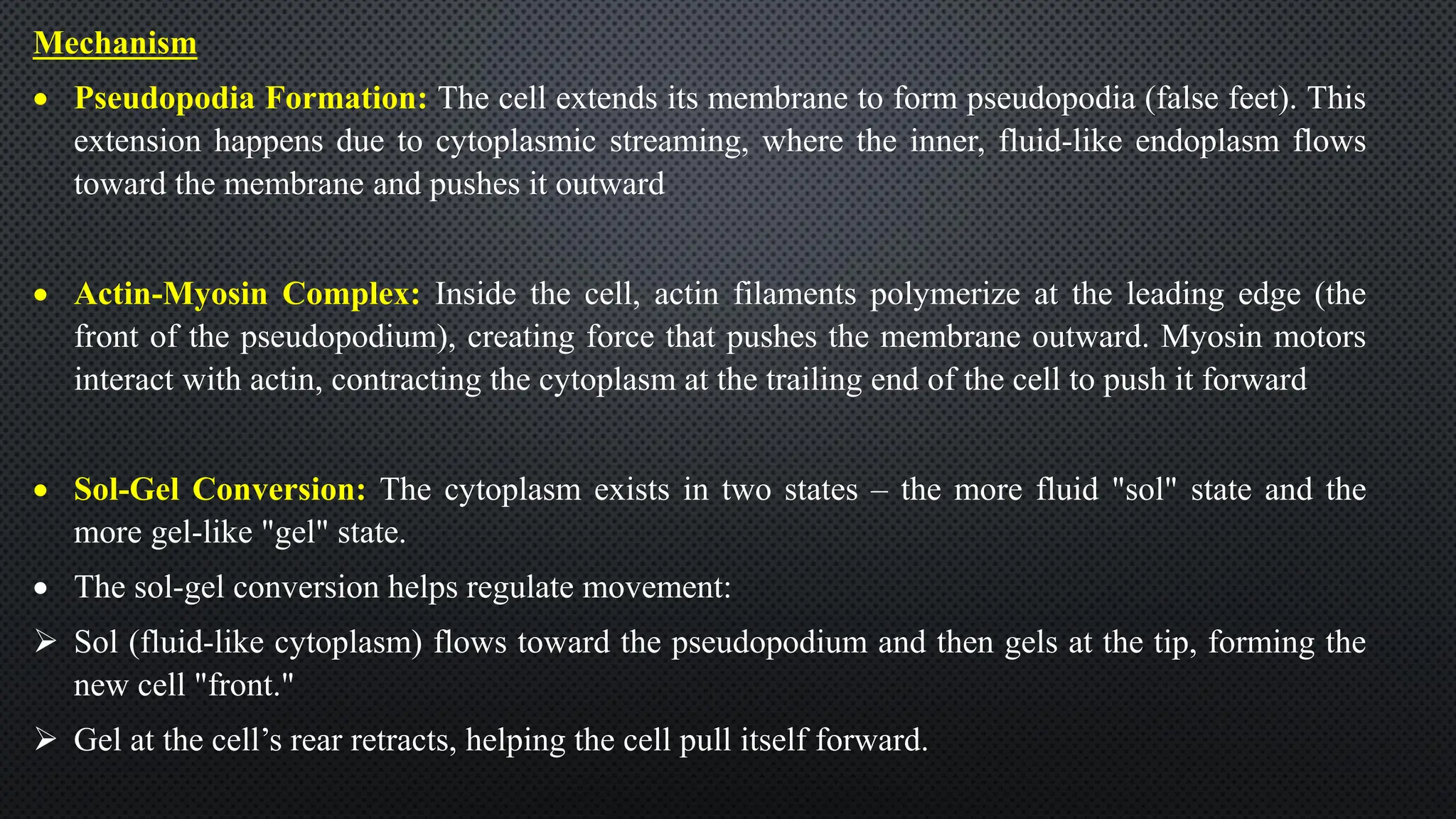 Amoeboid ciliary and flagellar movement ppt pdf.pdf
