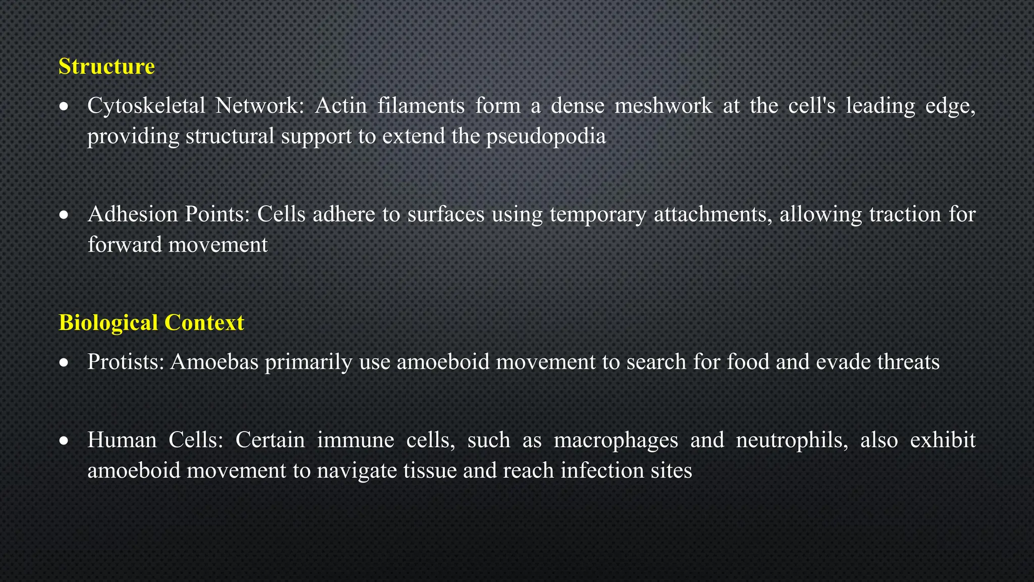 Amoeboid ciliary and flagellar movement ppt pdf.pdf