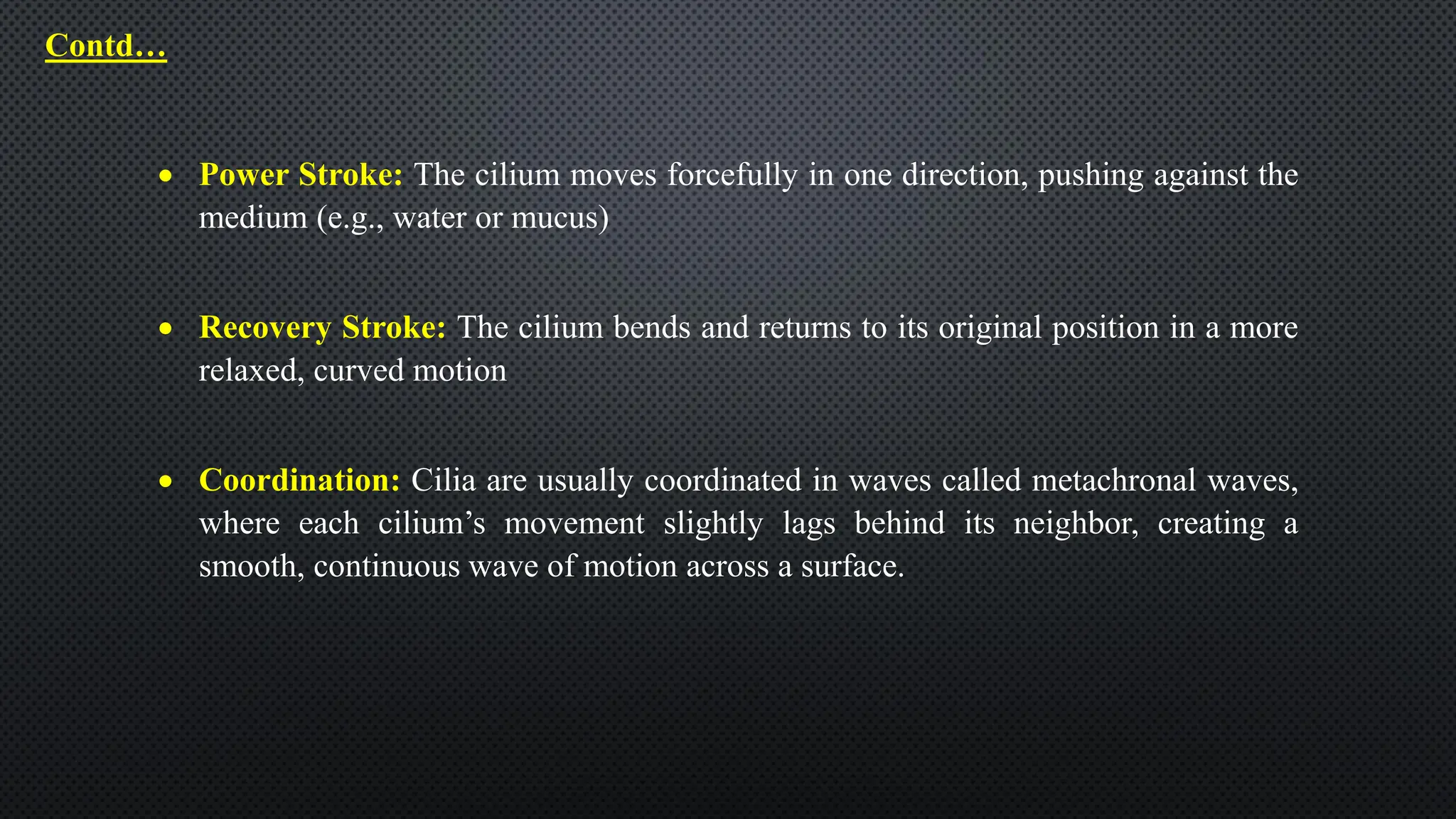 Amoeboid ciliary and flagellar movement ppt pdf.pdf