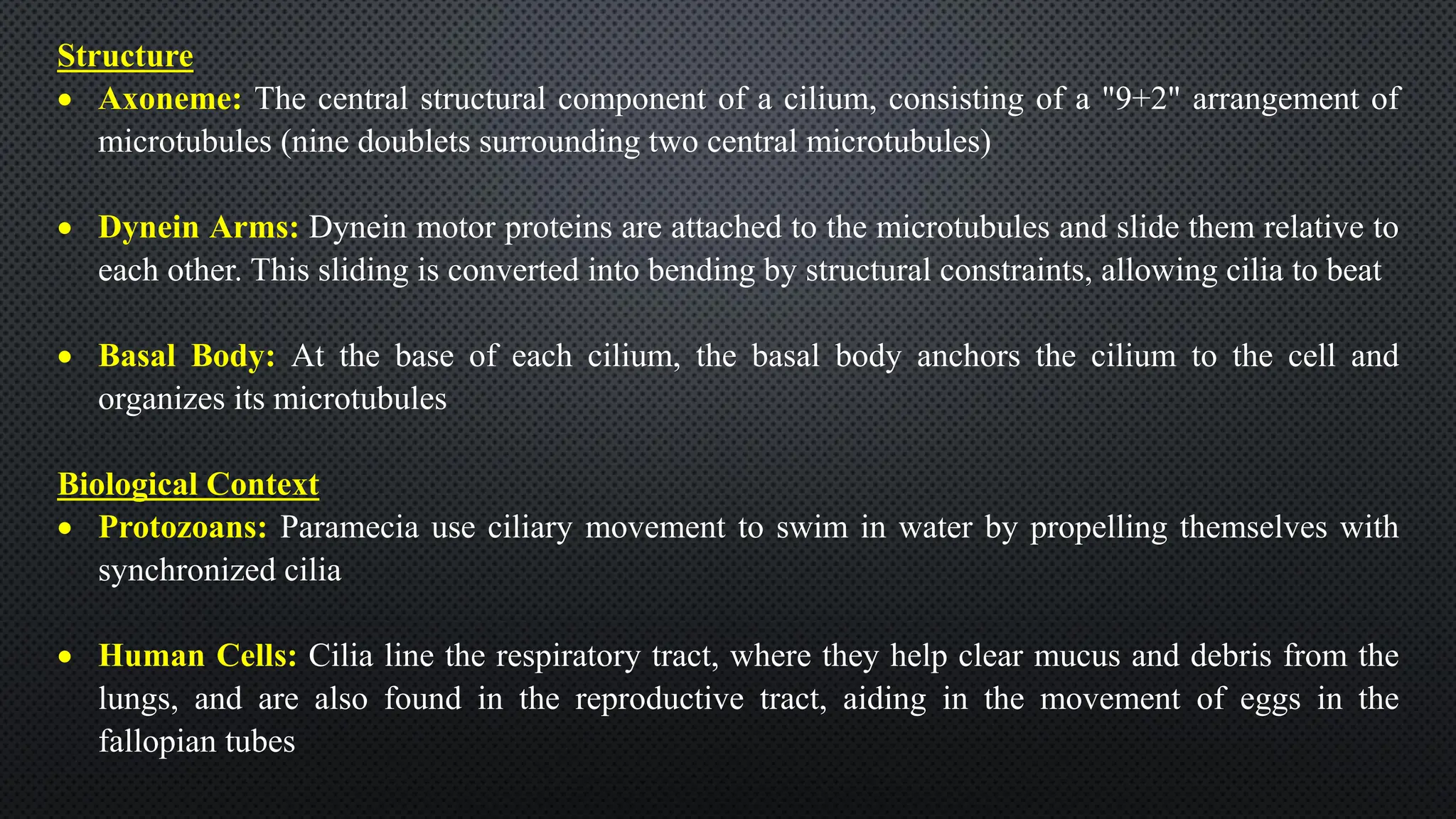 Amoeboid ciliary and flagellar movement ppt pdf.pdf