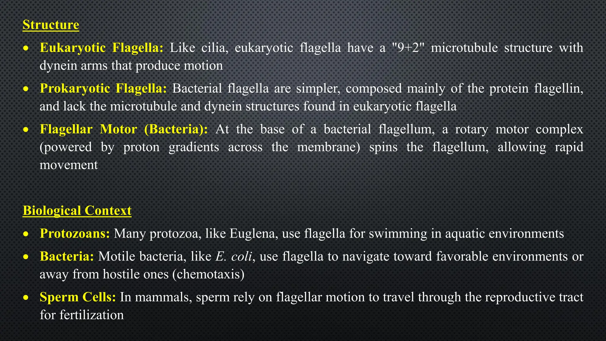 Amoeboid ciliary and flagellar movement ppt pdf.pdf