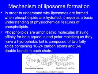liposomes | PPT