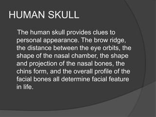 SKULL RECONSTRUCTION | PPTX