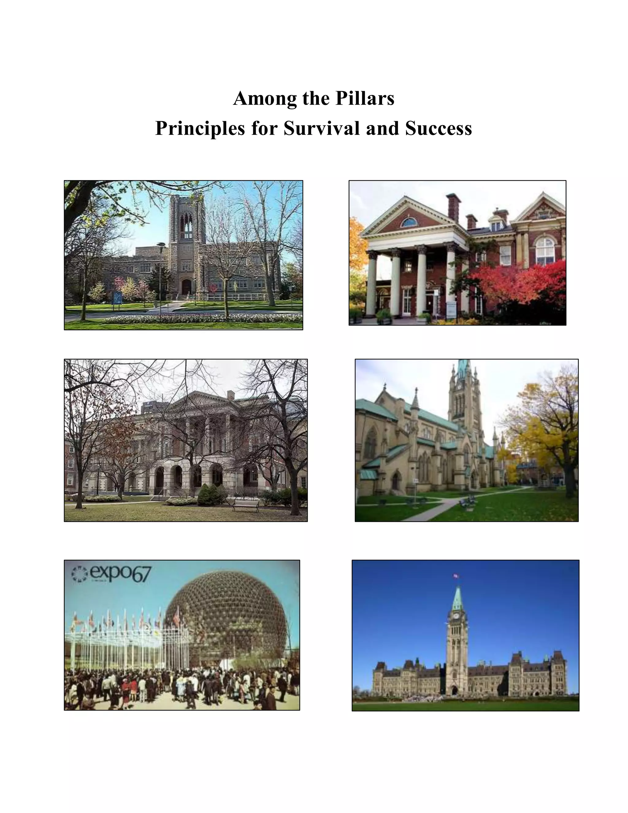 Among the pillars__and_principles_for_survival_and_success | PDF