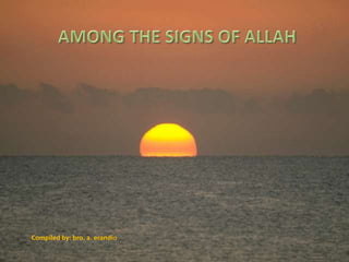 Among the Signs of Allaah | PPTX