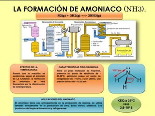 AMONIACO 2.pptx
