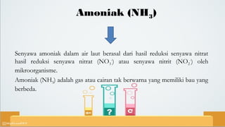 Amoniak nitrat nitrit | PPT
