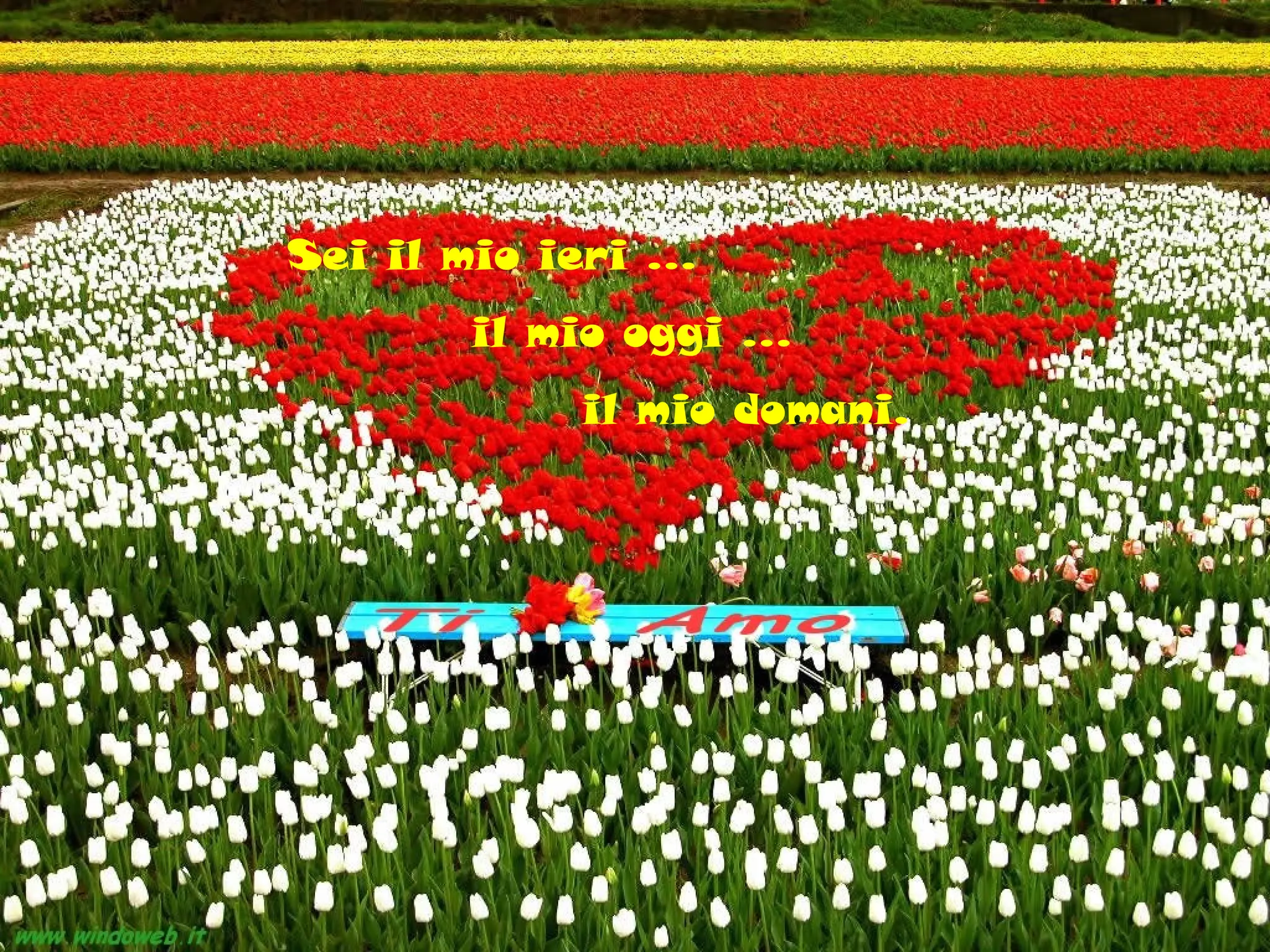 Amore unico amore | PPS