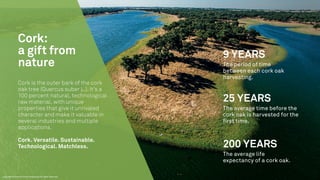Amorim Cork Composites - Presentation2019 - EN | PDF