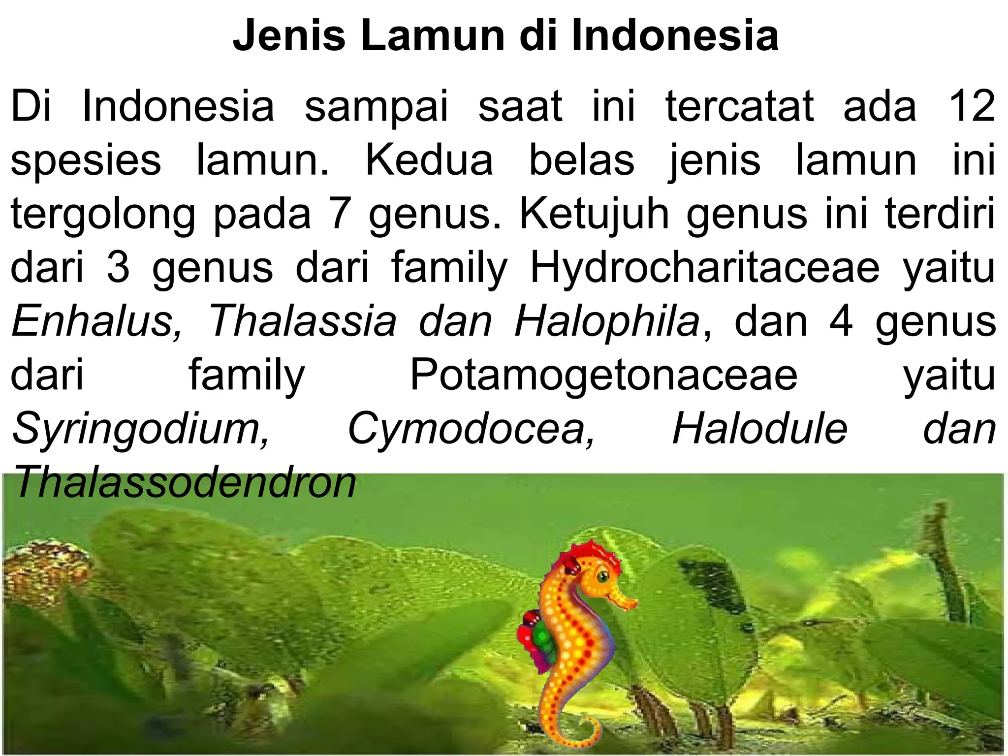 Inventarisasi Jenis-Jenis Lamun (Seagrass) | PPT