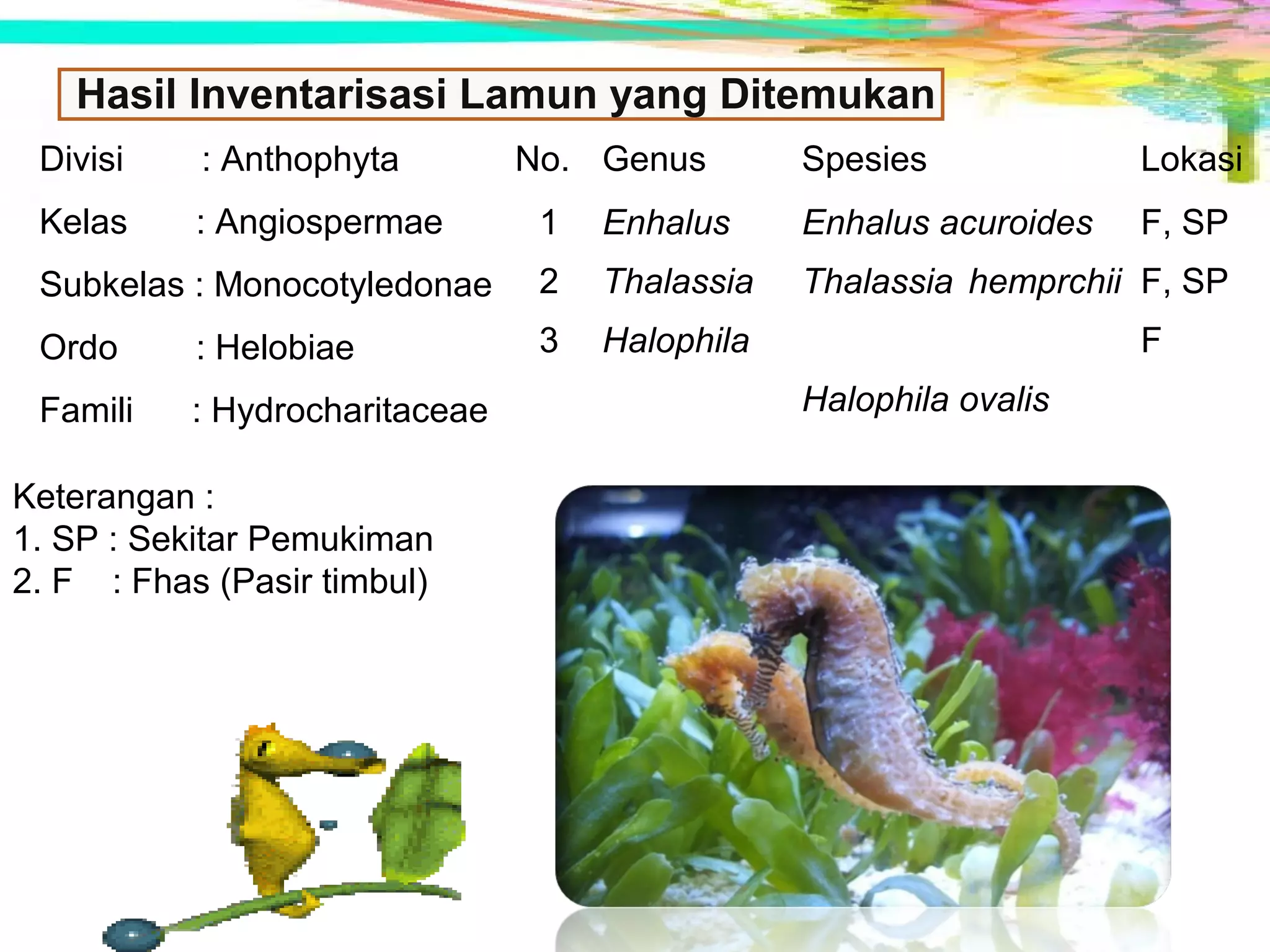 Inventarisasi Jenis-Jenis Lamun (Seagrass) | PPT