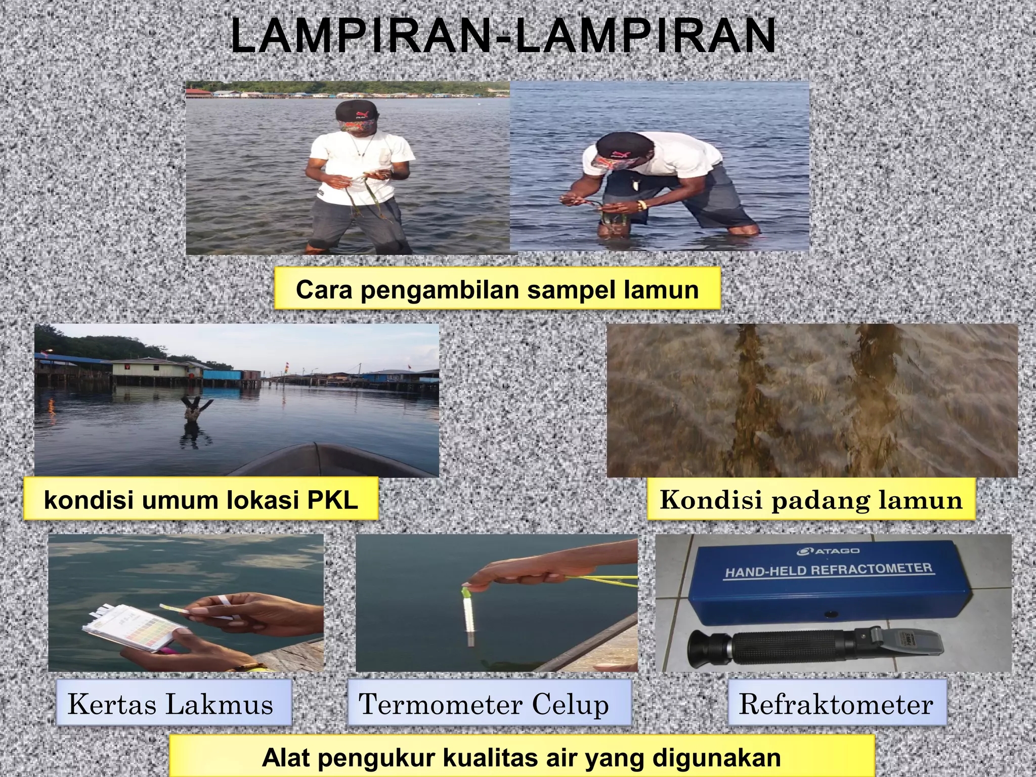 Inventarisasi Jenis-Jenis Lamun (Seagrass) | PPT
