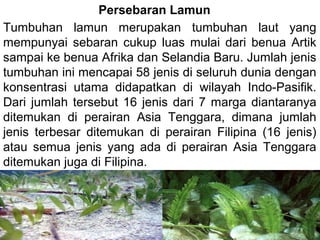 Inventarisasi Jenis-Jenis Lamun (Seagrass) | PPT