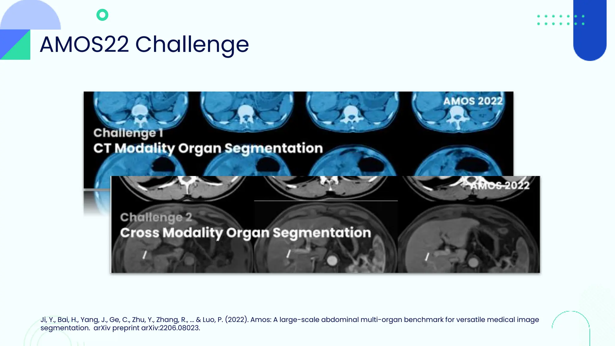 AMOS-Satellite-MICCAI-2023-Challenge.pptx