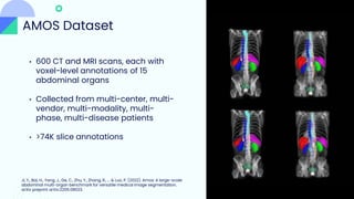 AMOS-Satellite-MICCAI-2023-Challenge.pptx