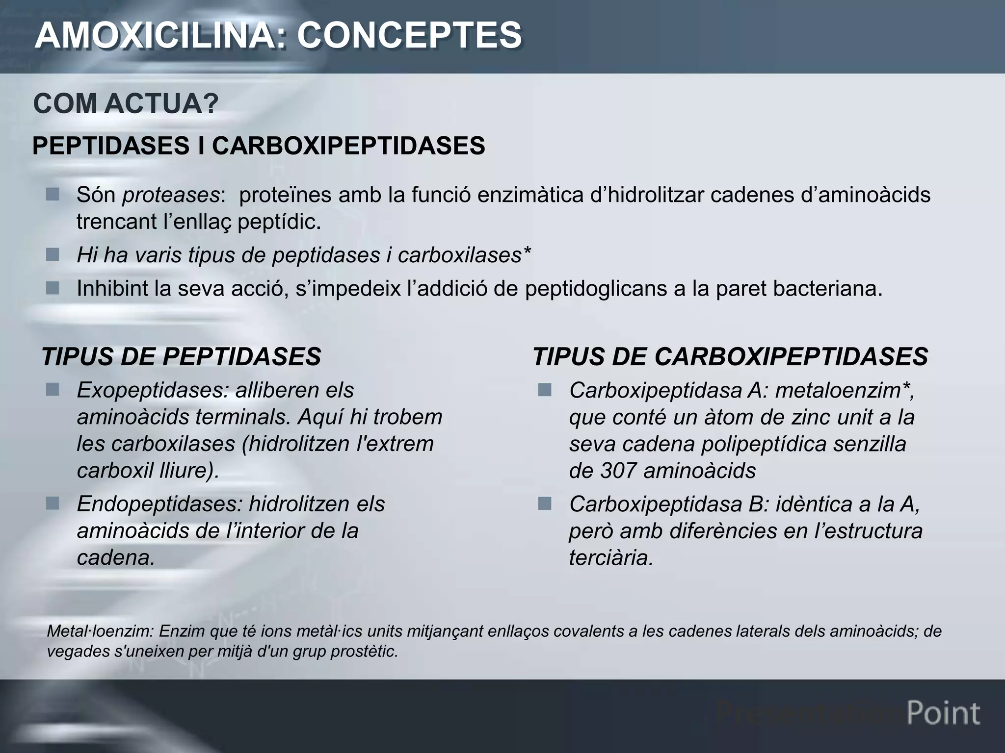 Amoxicilina: conceptes de biologia | PPTX