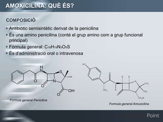 Amoxicilina: conceptes de biologia | PPTX