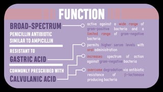 Amoxicillin: A Brief Background | PDF