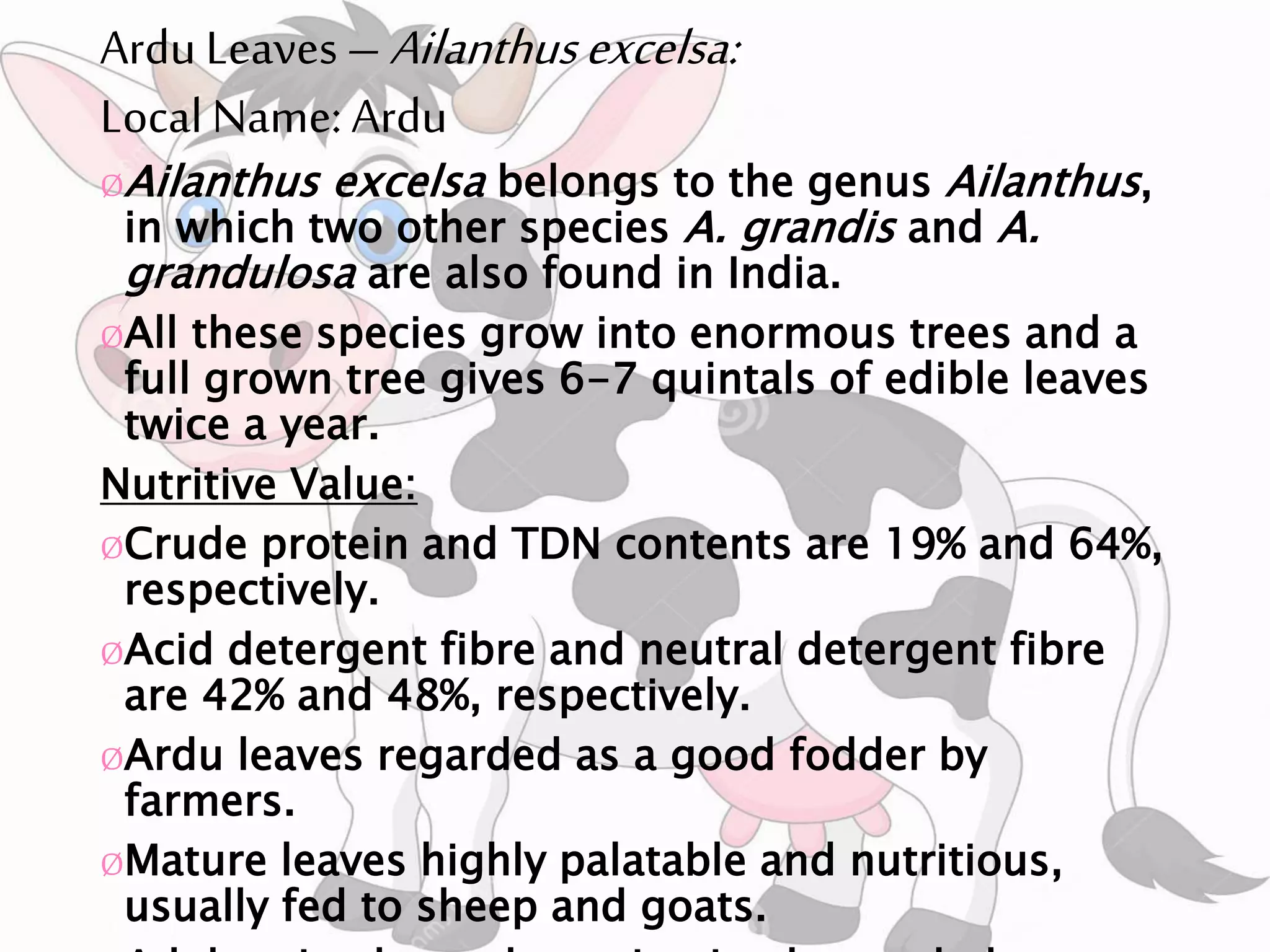 Importance of Tree Fodders for Livestock Rearing and their Nutritive ...