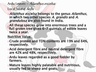 Importance of Tree Fodders for Livestock Rearing and their Nutritive ...