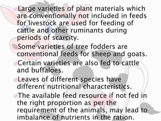 Importance of Tree Fodders for Livestock Rearing and their Nutritive ...