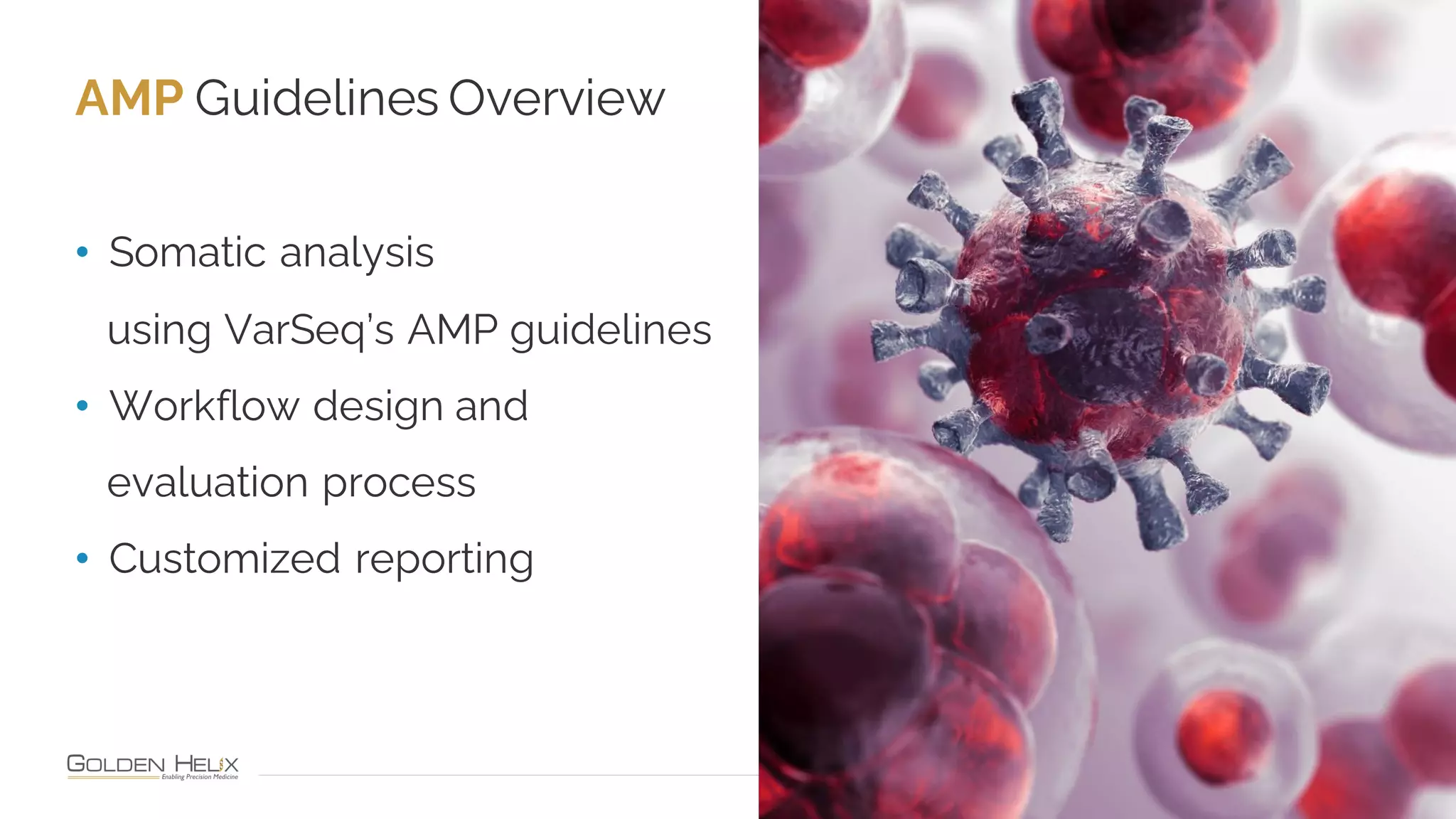 User perspective for somatic variant analysis in VSClinical AMP | PDF