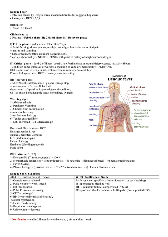 Ampang medical guide | PDF
