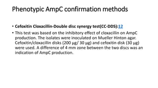 Amp C (1).pptx