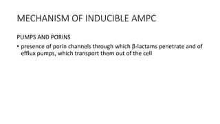 Amp C (1).pptx